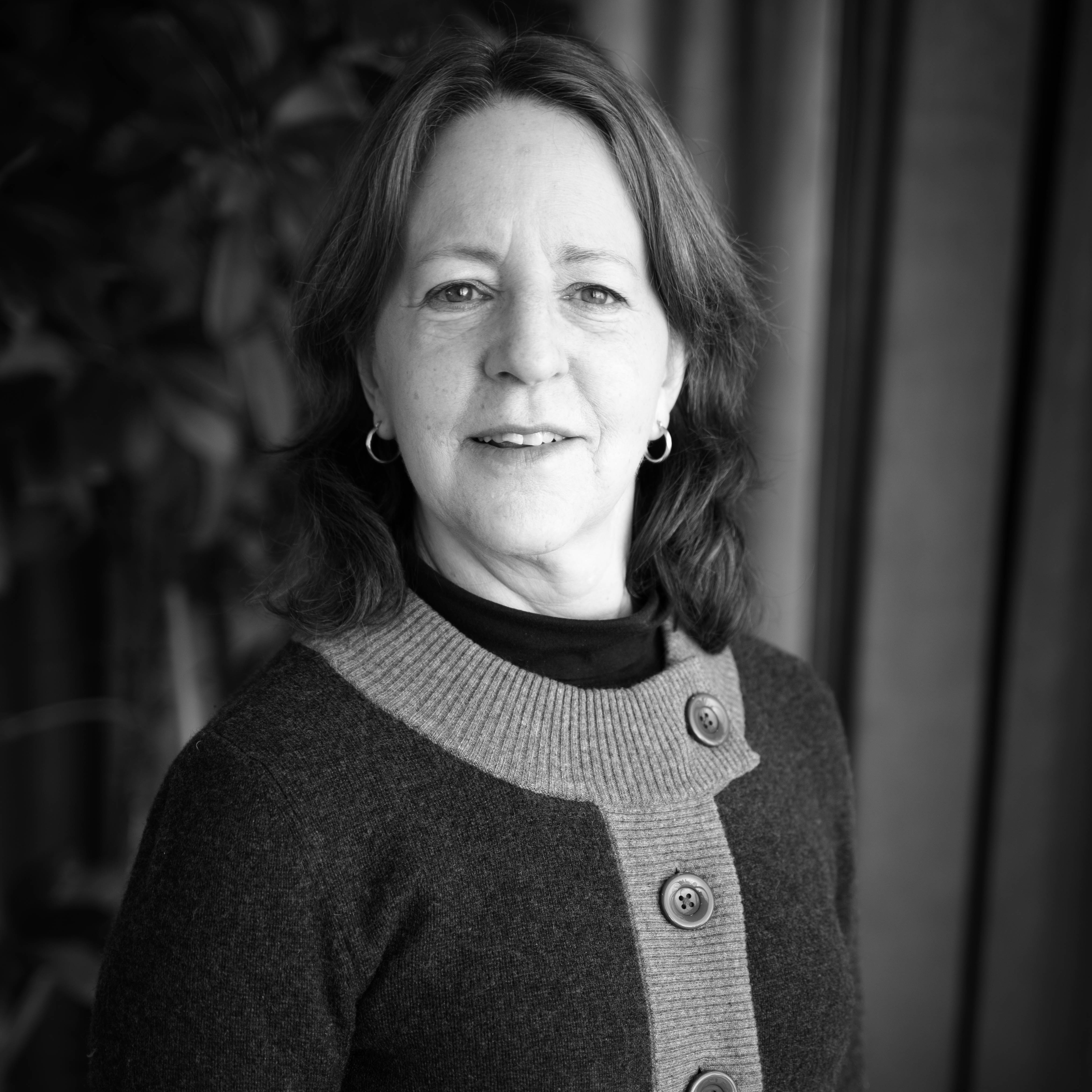 Geokonstruktioner | GeoMind